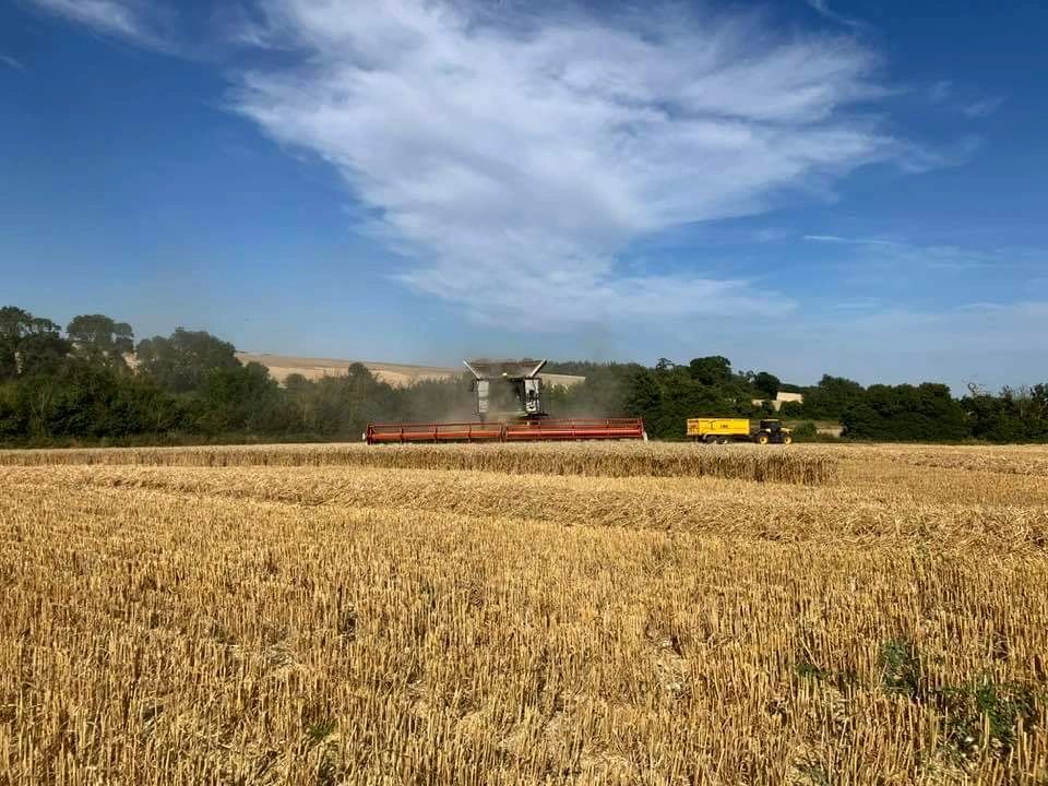 Stanbridge Farms – 7th Generation Family Farm looking to the future